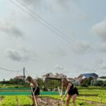 Tra Que Herbs Village & Thanh Ha Pottery Village Tour by Scooter - Portrait of the Experience