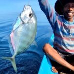 Traditional Fishing Trip in Bangsal Harbor, Lombok - Breaking Down the Experience