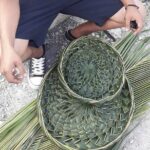 Traditional Palm Weaving Workshop with Food and Drinks in Tulum - What to Expect from the Palm Weaving Workshop