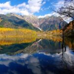 Transfer Chubu Centrair Airport NGO to Nagoya City Roundtrip - Overview of the Transfer Experience