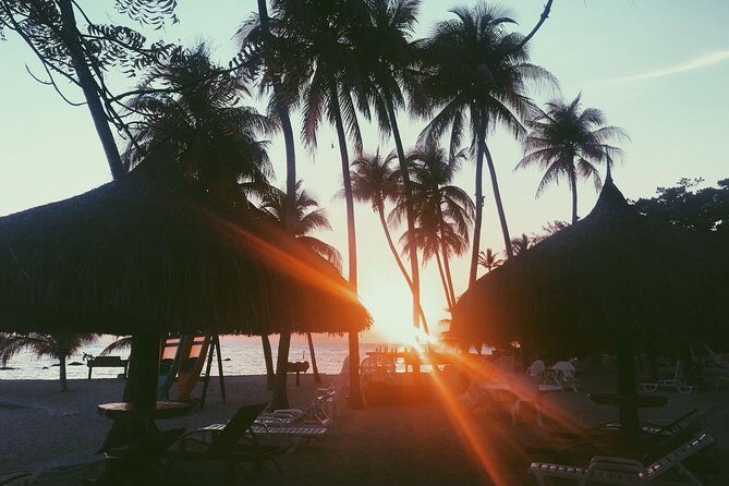 Transfer from Port au Prince international Airport to Hotels in Port au Prince - Vehicle Comfort and Capacity