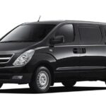 Transfers From & To Punta Cana  All place at Samana Dom Rep - Value and Cost Analysis