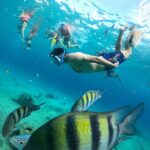 Transparent Boat with Snorkeling drinks and photo shoot - Is It Worth the Price?