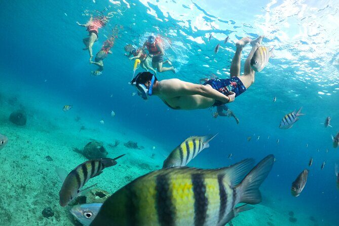 Transparent Boat with Snorkeling drinks and photo shoot - Is It Worth the Price?