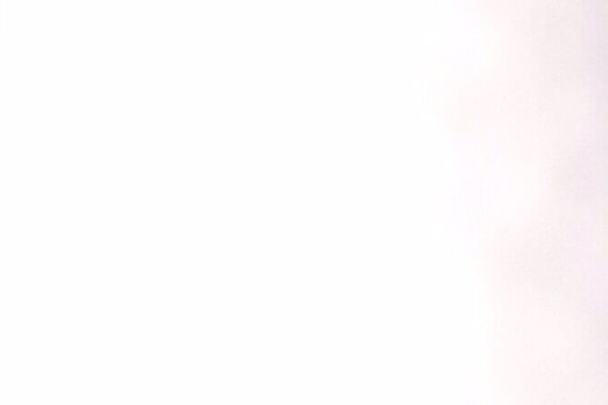 Transportation and Tour from Montego Bay to Blue Hole/Secret Falls - Why This Tour Stands Out