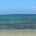 transportation and transfer to airport - What Real Travelers Say