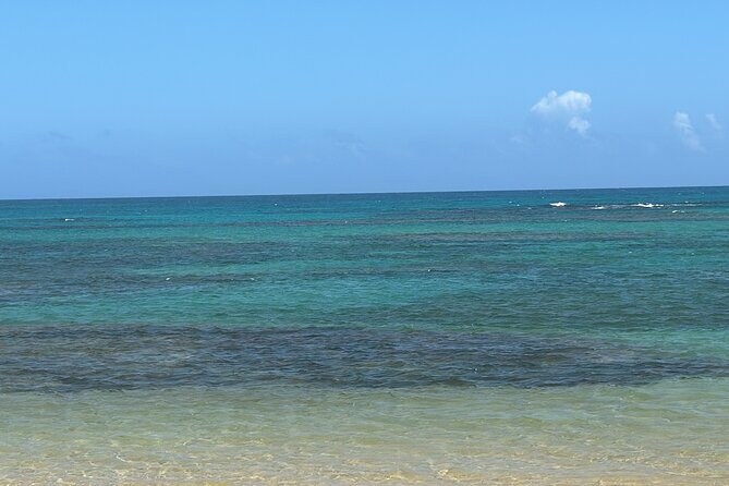 transportation and transfer to airport - What Real Travelers Say