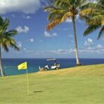 Transportation from Runaway Bay Hotels to Golfing Cinnamon Hill - What to expect during the day