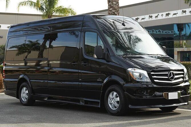 Transportation Private Punta Cana Airport and Hotels Big Groups - The Experience: What to Expect