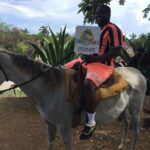 Transportation to Horse Back Ride & Swim Adventure from Ocho Rios - Authentic Feedback from Travelers