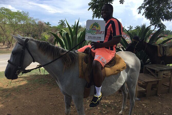 Transportation to Horse Back Ride & Swim Adventure from Ocho Rios - Authentic Feedback from Travelers