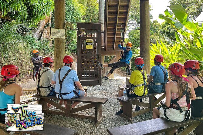 Tree Limin' Extreme Zipline - The Experience: What Makes It Stand Out