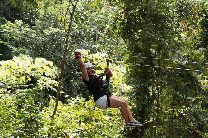 Treetop Adventure Park Canopy Tour - Who Will Love This Tour?