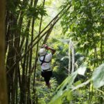Treetop Canopy Adventure - The Details That Matter