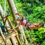 Treetop Zipline Experience From Castries - Key Points