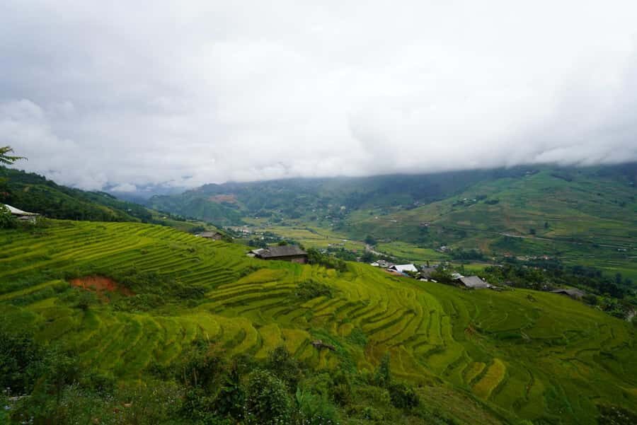 Trek to Local Ethnic Villages & Muong Hoa Valley/Guide/Lunch - Why This Tour Offers Good Value