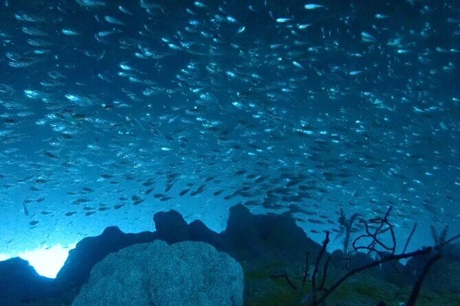 Trial diving tour that even inexperienced people can enjoy safely - What You Can Expect on the Day