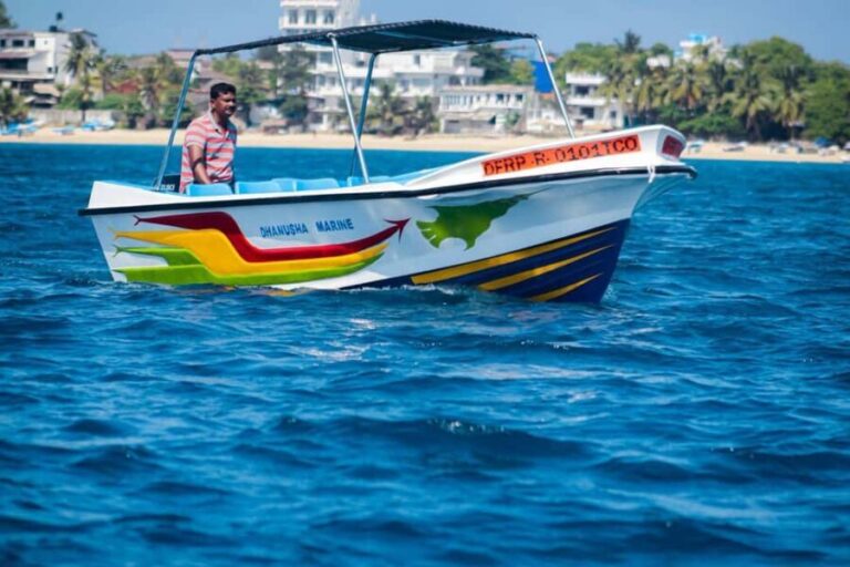 Trincomalee: All Inclusive Whale&Dolphin Watching Boat Tour