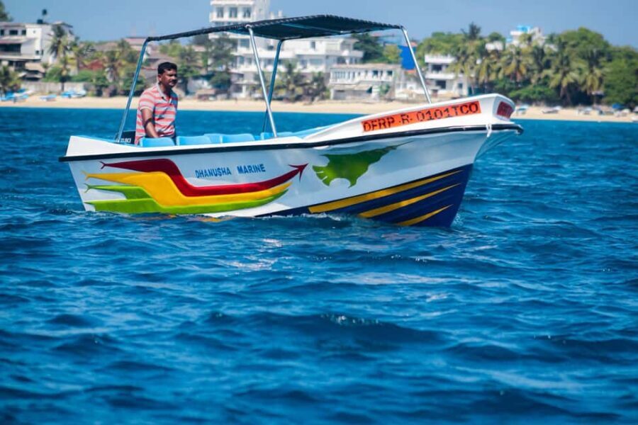 Trincomalee: All Inclusive Whale&Dolphin Watching Boat Tour - What Makes This Tour Stand Out