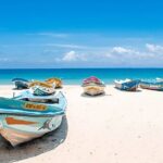 Trincomalee City Tour from Trincomalee Seaport - Who Would Enjoy This Tour?