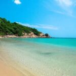 Trincomalee Day Tour from Kandy - What Sets This Tour Apart: Value and Practicality