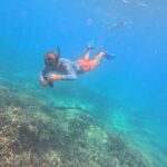 Trincomalee: Private Whale Watching and Snorkeling Tour - The Practicalities: What to Expect and How It All Comes Together