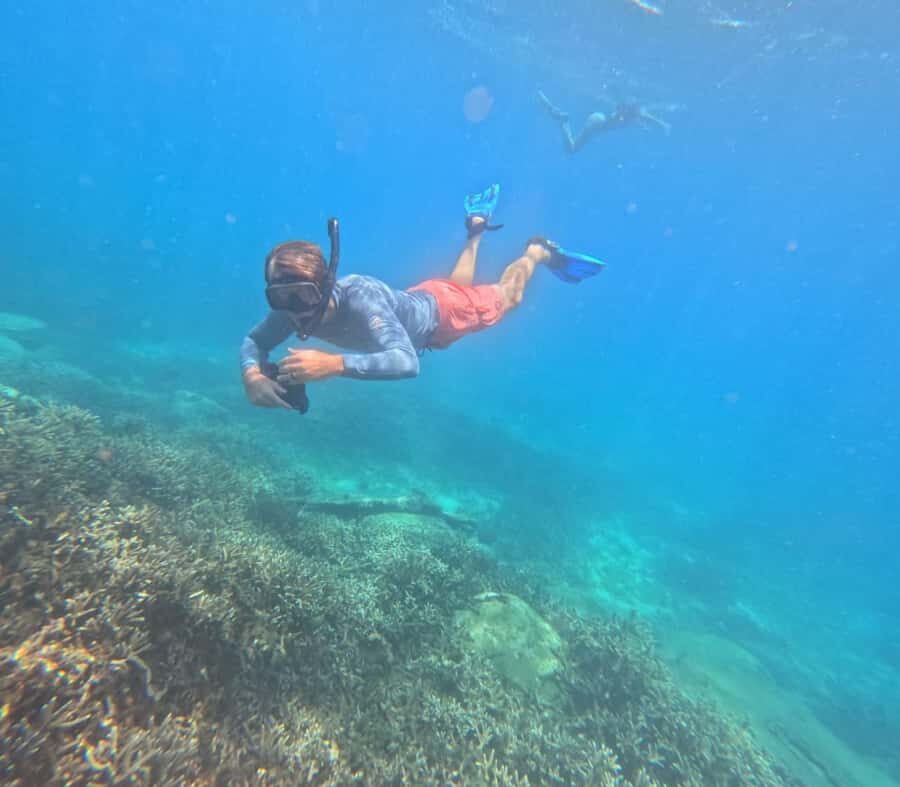 Trincomalee: Private Whale Watching and Snorkeling Tour - The Practicalities: What to Expect and How It All Comes Together