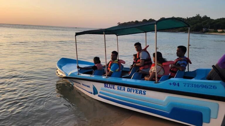Trincomalee: Whales & Dolphin Watching Tours - The Boat Ride and Expectation Management