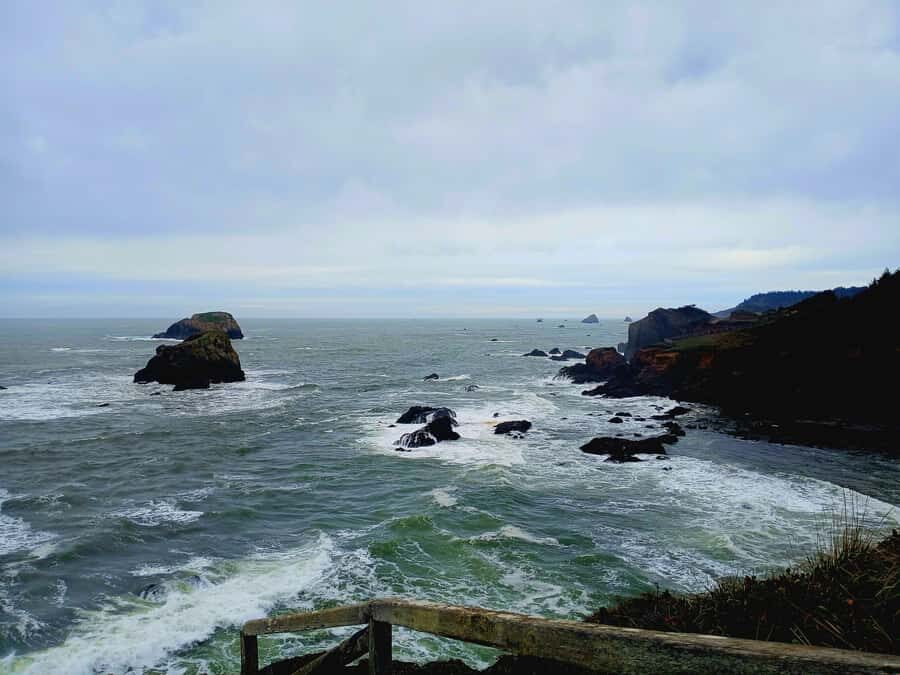 Trinidad: Elk Head Trail Guided Nature Walking Tour - What Makes This Tour Stand Out?