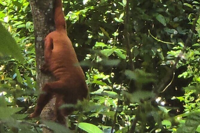 Trinidad Mud volcano Mud bath - Final Thoughts: Is It Worth It?