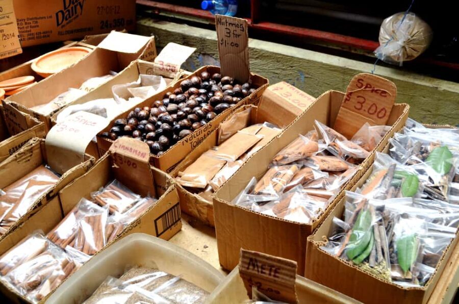 Trinidad: Pitch Lake and Chaguanas Sightseeing Tour - The Itinerary in Detail