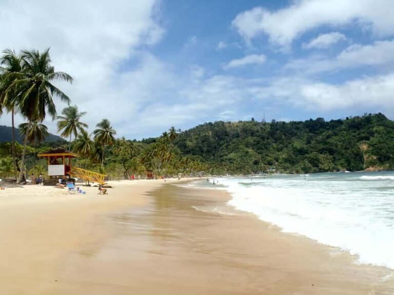 Trinidad: Rainforest Hike to Avocat Waterfall - Practical Details and Considerations