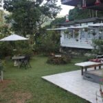 Trinidad: The Humming Bird Experience - The Experience in Detail