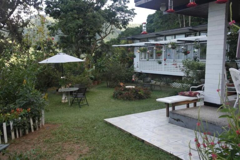 Trinidad: The Humming Bird Experience - The Experience in Detail