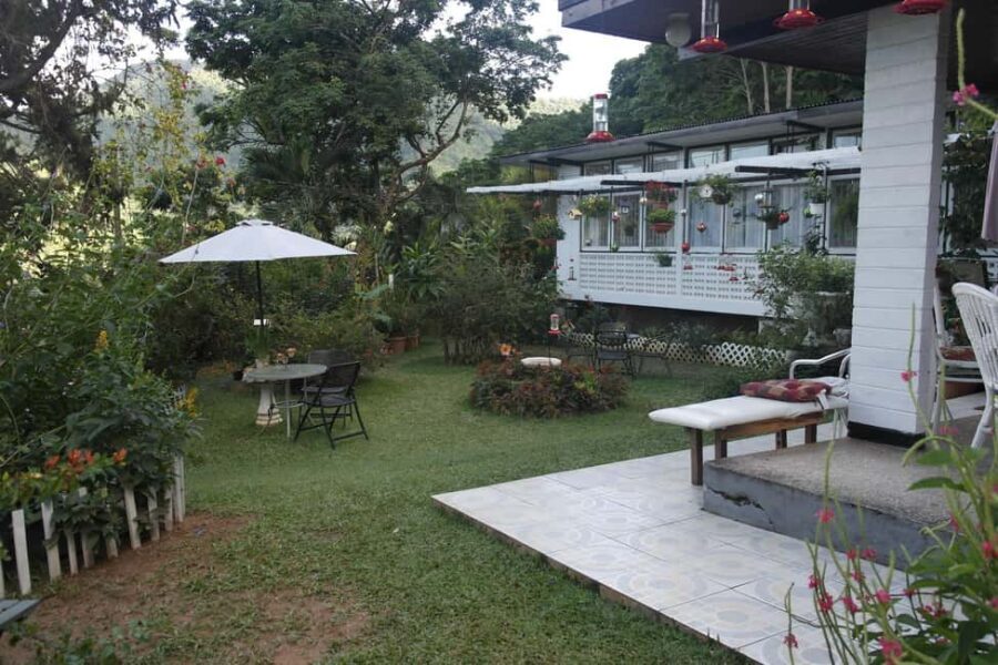 Trinidad: The Humming Bird Experience - The Experience in Detail