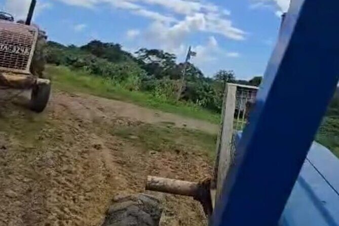 Trinidad's Mud bath - Detailed Breakdown of the Tour Experience