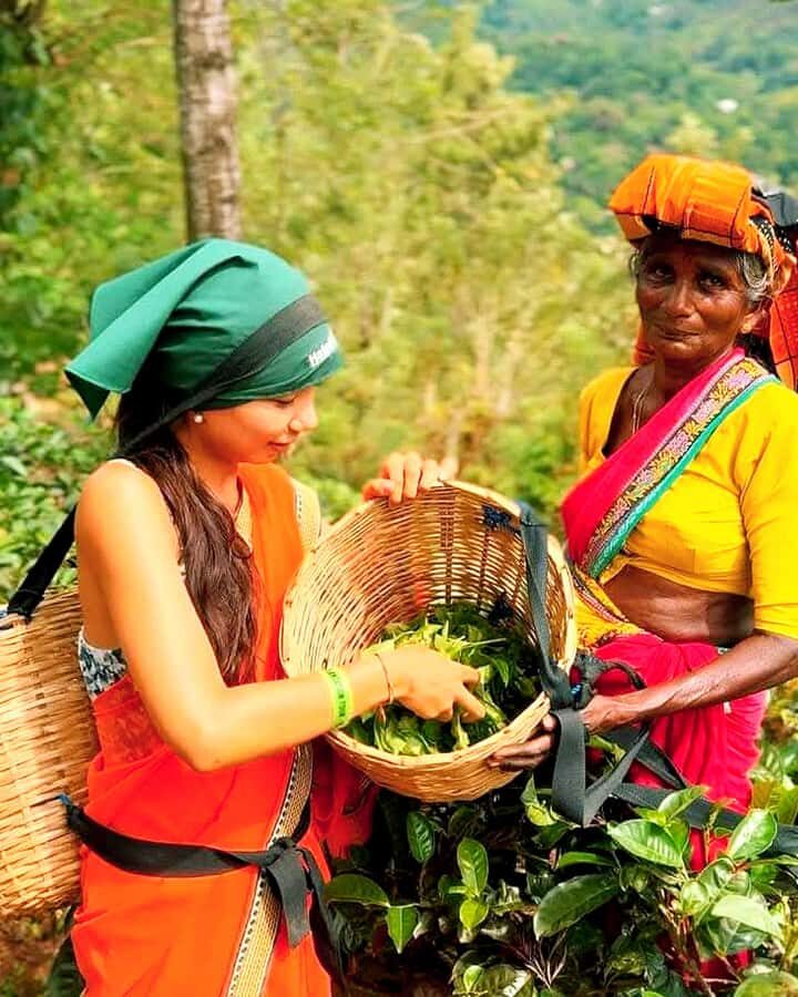 Trip from Kandy to Ambewela Railway Station via Nuwara Eliya - An In-Depth Look at the Tour Experience