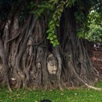 Trip to Ayutthaya with Return Cruise to Bangkok Min. 2 passenger - Practical Tips for Your Trip