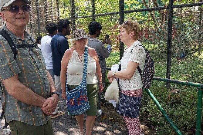 Trivandrum Heritage, History and Cultural Small Group Guided Tour - Authentic Experiences and Traveler Insights