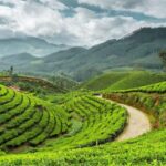 Trivandrum Hills, Villages, History & Waterfalls Guided Tour - What You Can Expect from the Day