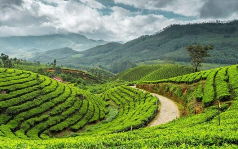 Trivandrum Hills, Villages, History & Waterfalls Guided Tour - What You Can Expect from the Day