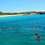 Tropical Catamaran Snorkeling & Sailing - Authentic Feedback & What Travelers Love