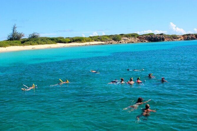 Tropical Catamaran Snorkeling & Sailing - Authentic Feedback & What Travelers Love