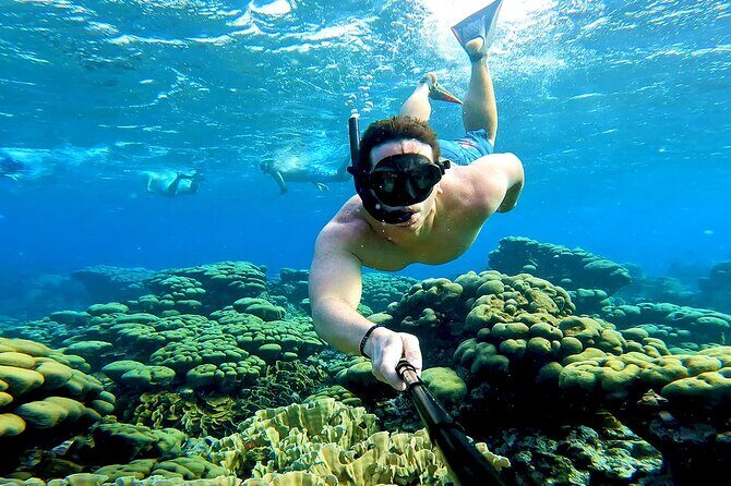 Tropical Dream Snorkel and Dinner Sail in Aruba - An In-Depth Look at the Tour Experience