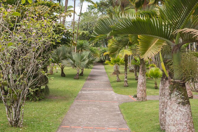 Tropical Island Private Tour of Martinique - Who Will Love This Experience?