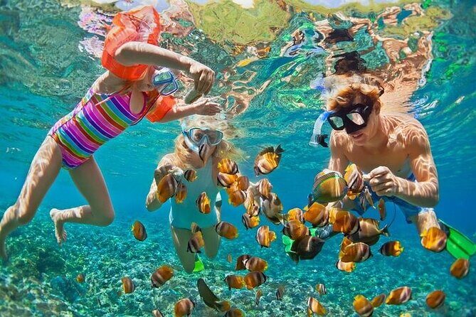 Tropical Punta Cana Booze Cruise  Snorkel, Sandbar & Party Vibes - Who Will Love This Tour?