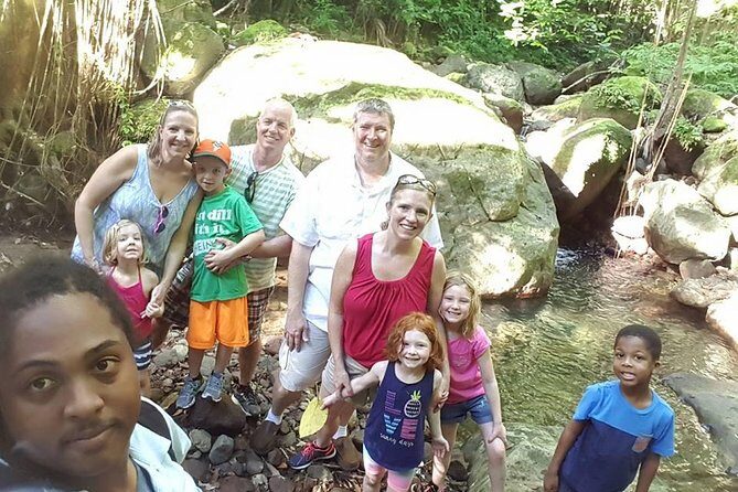 Tropical Rain Forest Explorer Hike In St. Kitts - The Sum Up