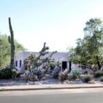 True Crime Walking Tour in Tucson's Historic Blenman-Elm - The Sum Up: Is This Tour Worth It?