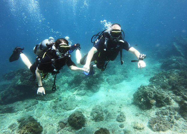 Try Scuba Diving at Padang Bai - Authentic feedback from travelers