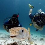 Try Scuba Diving in Racha Yai and Noi for Non-Certified - What the Reviews Say
